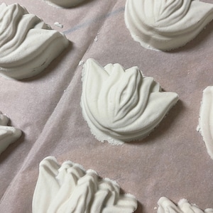 MOLD Ultimate Zenomorph/alien Plastic Bath Bomb Mold - Etsy