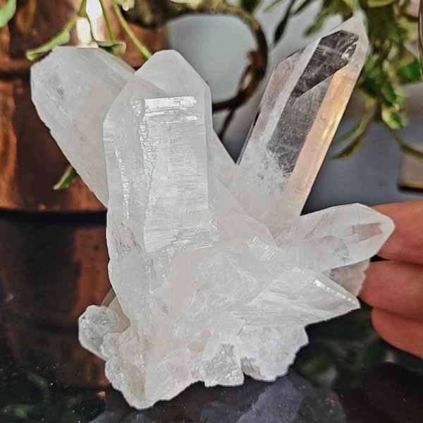 Himalayan White Samadhi Quartz, Flower Pointed Crystal Cluster, 430gm ...