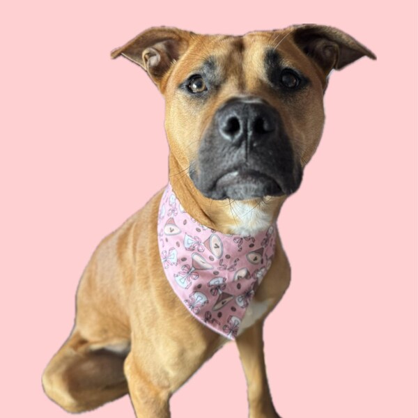 Orange Hearts, Flower Curved Neck Snap on Dog Bandana, Winter Pet ...