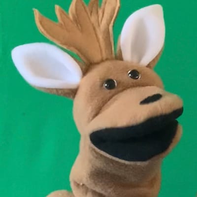 Red Haired Girl Sock Puppet With Braids Class Room Educate Aid - Etsy