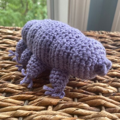 Tardigrade Amigurumi Crochet Pattern PDF English - Etsy
