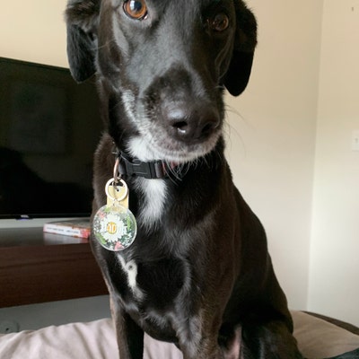 Matching Dog Tags and Keychain Custom Dog Tag Resin Dog Tag Glitter ...