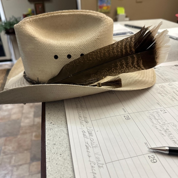 12 Inch Custom Feathers Stetson Lowrider Fedora Cowboy Hat Hand Painted ...