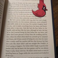 Suzume | Cat Vinyl Stickers - Etsy