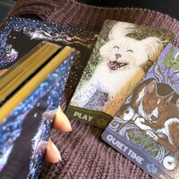 Guidance Dogs Oracle Cards - Etsy