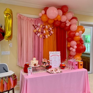 Colorful fringes backdrop/taco party/mexican theme | Etsy