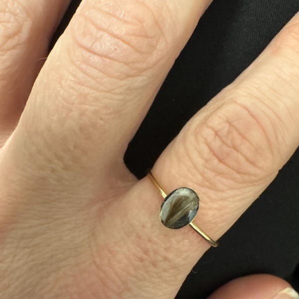 Lock of Hair Keepsake Ring, Pet Memorial Ashes Hair Jewelry, Pet Fur ...