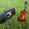 Miniature Cello Miniatures Musical Instrument Model Cello Model ...