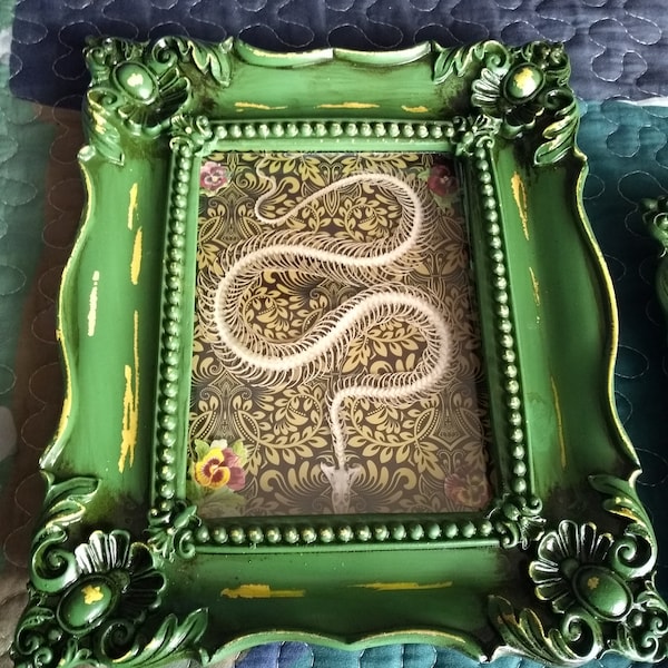 Paper Snake Skeleton, Realistic Double-sided Paper, Laser-cut Craft ...