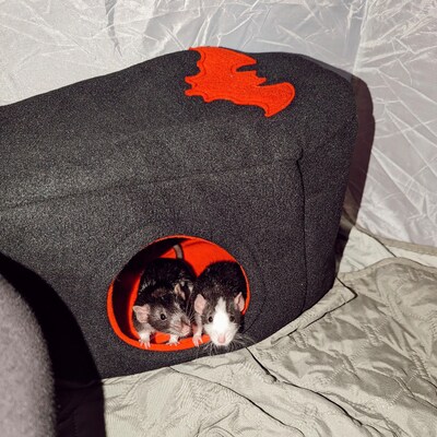 Large Fleece Coffin Bed, Drac Inspired Design, Halloween Pet Bed, Cat ...