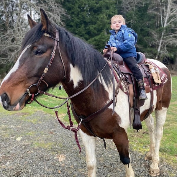 Braided Twist Hobbles and 3 Way Attachment Set - Etsy