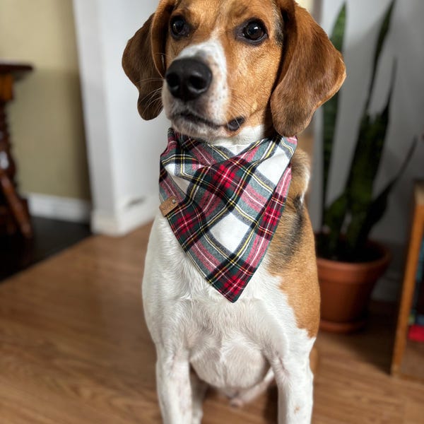 Christmas Plaid Flannel Infinity Dog Scarf, Personalized Red Stewart ...