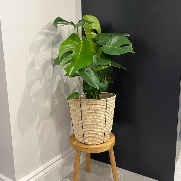 Round Rustic Plant Stool, Reclaimed Wood Stool, Rustic Milking Stool ...