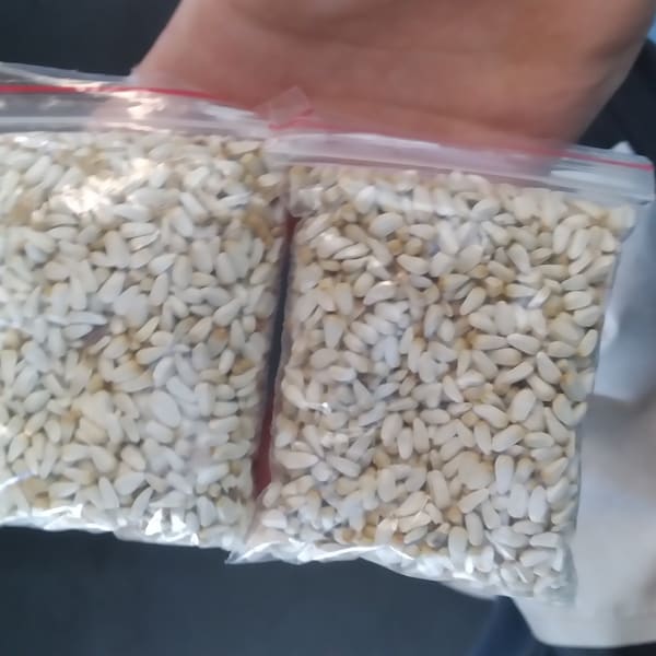 Eppendorf Centrifuge Tube Safe Lock 2.0 Ml High-quality Microcentrifuge ...