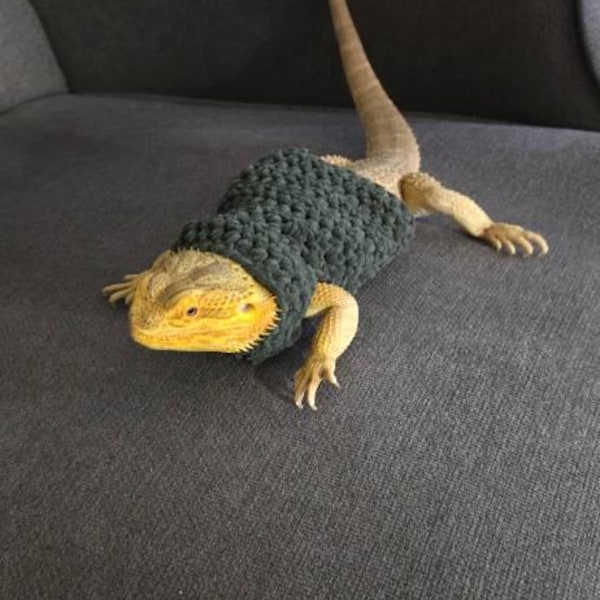 Bearded Dragon Wraparound Sweater Crochet Pattern - Etsy