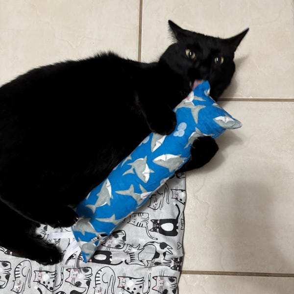 KITTY KICKERS! 14” Long X 3” Wide. Made With Fresh CATNIP by ...