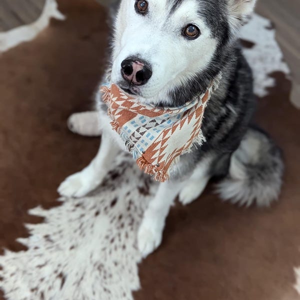 Pet Bandana ronan Green, Brown and White Plaid With Frayed Edges Cotton ...