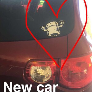 Cow Head Decal, Cow Decal, Equine Vinyl Wall Decal Car Decal Laptop ...