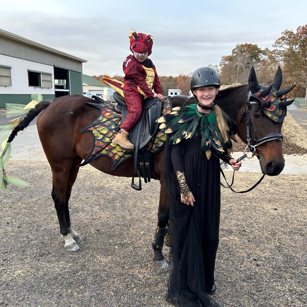 Red Gladiator Style Tack Set - Etsy