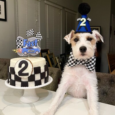 Under the Sea Scavenger Hunt Mermaid Scavenger Hunt Ocean Scavenger ...