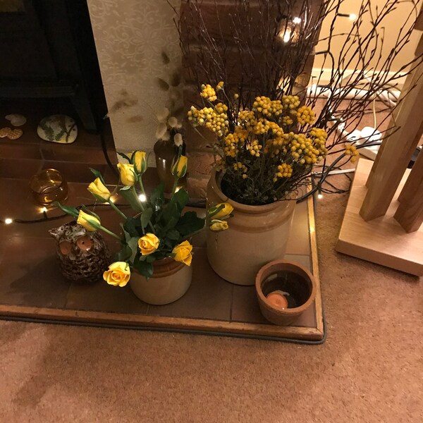 Yellow Ageratum Dried Flower Bunch | Lonas Stems | Dry Flowers for ...