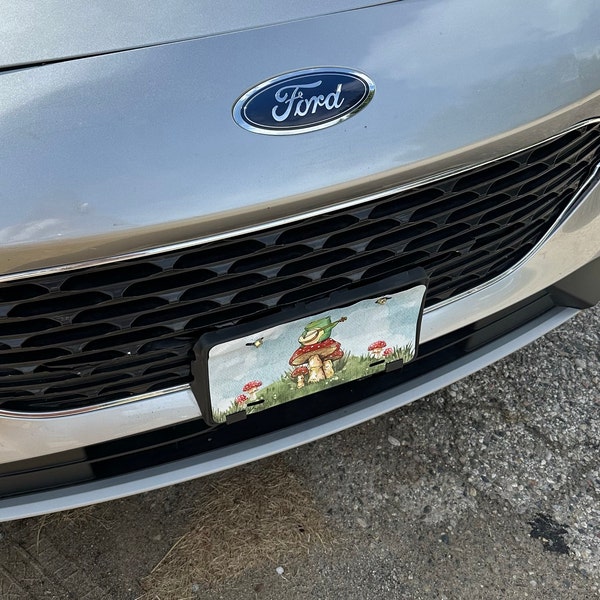 Cool Punk Checkered Skull License Plate Unique Car Accessories for Him ...