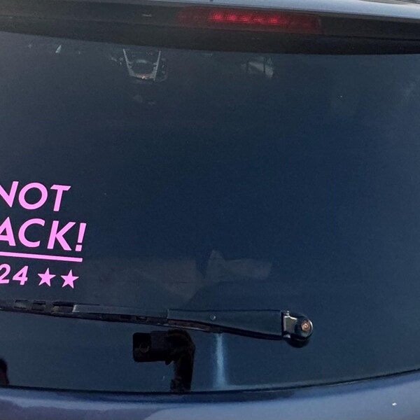 Google Dinosaur Sticker / Decal - Etsy