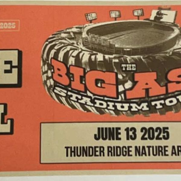 Kid's Birthday Party Invitation | Ticketmaster Concert Ticket Stub ...