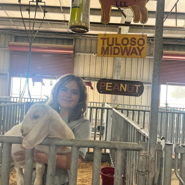 Doe Breeder or Market Goat Wood Sign Blank | Boer Show Goat Cutout ...