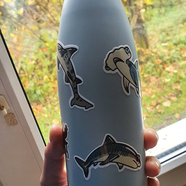 Watercolour on Wood Rainbow Ball Python Snake Print - Etsy