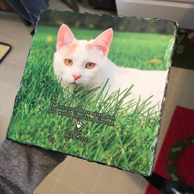 Giant Check DESIGN ONLY Template oversize Check 12x24, 18x36 or 24x48 ...