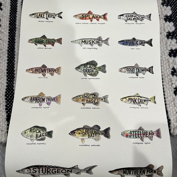 Fish of Michigan Watercolor Art Print - Etsy