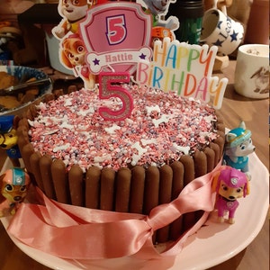 Chase Marshall Skye & Rocky Paw Patrol Inspired Sprinkle - Etsy