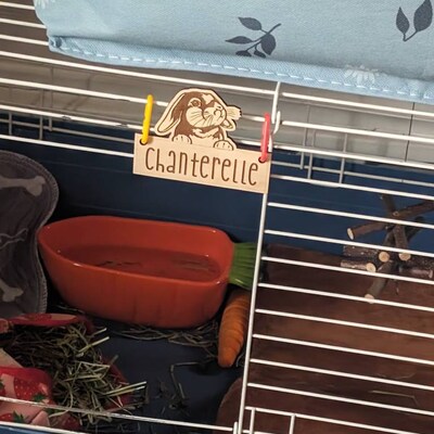 Bunny Rabbit Cage Tag, Personalized, Custom, Engraved Wood, Pet Rabbit ...