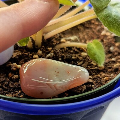 Apricot Agate Tumbled Stone Multiple Sizes Available Tumbled Pink Agate ...