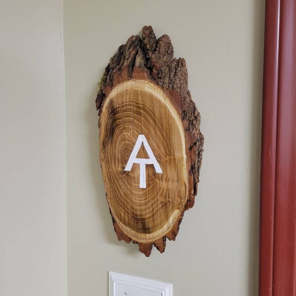 Pink Lycoris Squamigera Mystery Resurrection Lily Bulbs 10 Count Summer ...