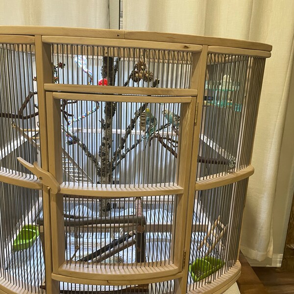 Parakeet Small Bird Tree - Etsy