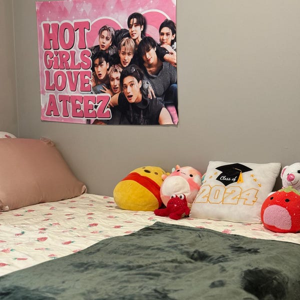 SKZ Bang Chan Hot Girls Concert Banner, Stray Kids Members Kpop Flag ...