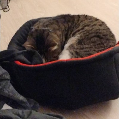 The Cosy Coffin Luxury Halloween Coffin in 3 Sizes, Hanging Cube ...