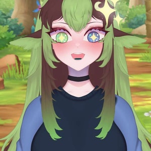 Customizable Vtuber Model art & Rig Premade - Etsy