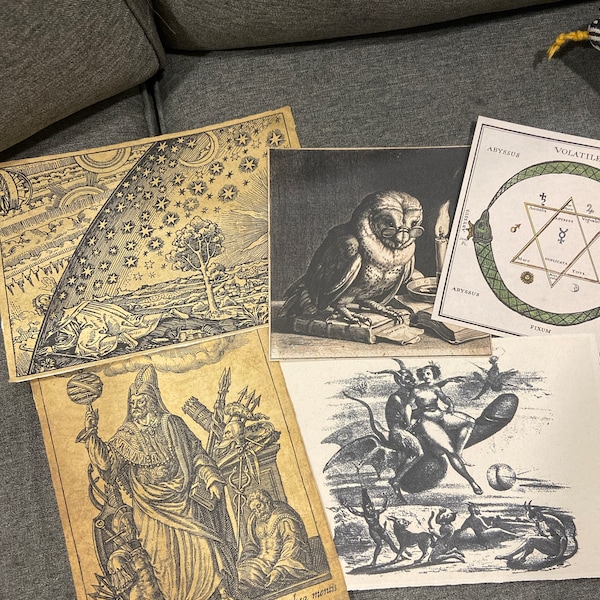 Eugerres Plumieri or Striped Mojarra X-ray. Science Art Print. - Etsy