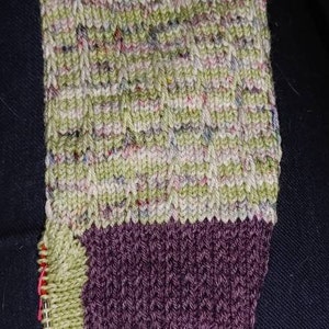 Winterberry Sock Setfull Skein 2 Mini Skeinsfingering/sock Weight75 Superwash Merino Wool/25 ...