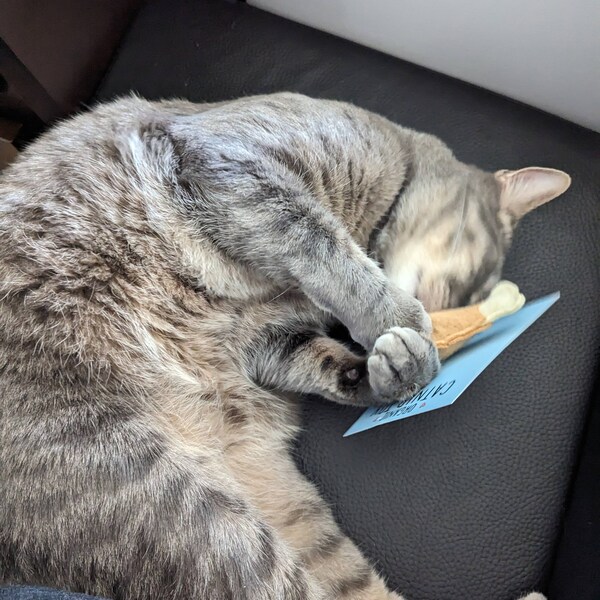 Catnip Radish, Catnip Turnip, Vegetable Cat Toy - Etsy