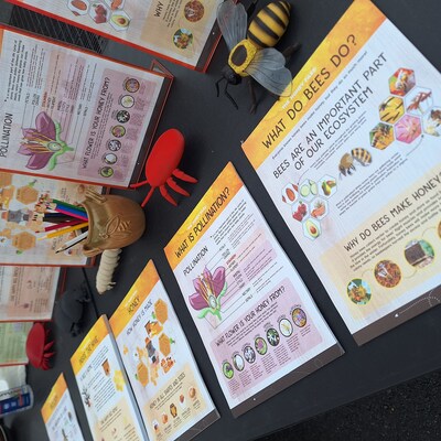 Life in the Hive: A Hands-on Honey Bee Learning Kit for Beekeepers - Etsy