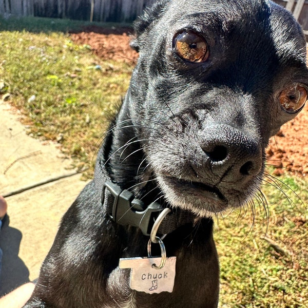 State of Texas (or Select Your State) Pet Name Tag Medium 1" Max ...