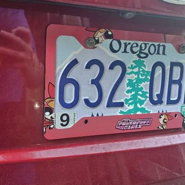 NEW the Powerpuff Girls Blossom Y2K License Plate Frame - Etsy