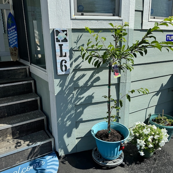 Nap Time Doorbell Sign - Baby Sleeping Sign - Do Not Disturb Sign - Do ...