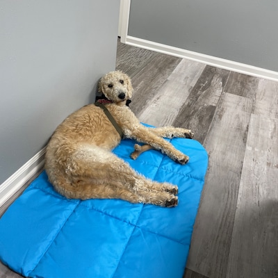 Travel Mat for a Dog, Outdoor Dog Mat, Roll up Dog Mat, Personalized ...