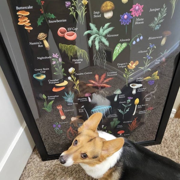 A Tolkien Bestiary Art Print Selected Beasts From Tolkien's Legendarium ...