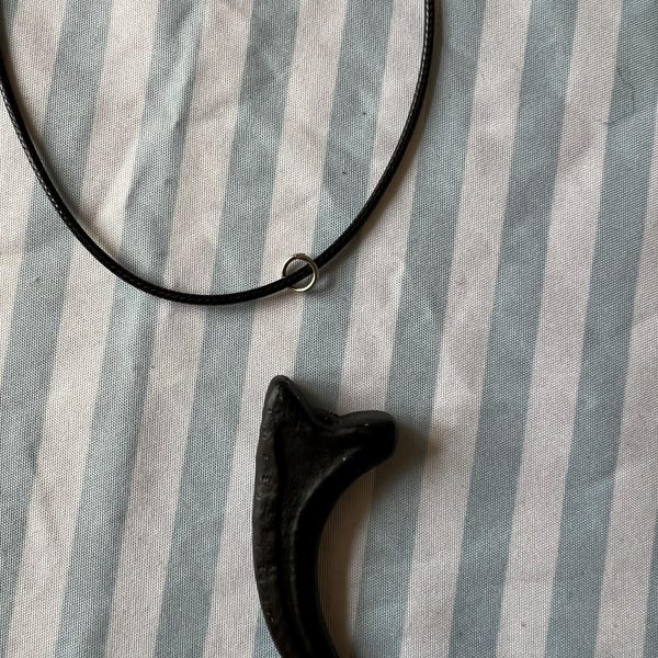 Raptor Claw. Velociraptor Claw Movie Prop From the Jurassic Period ...